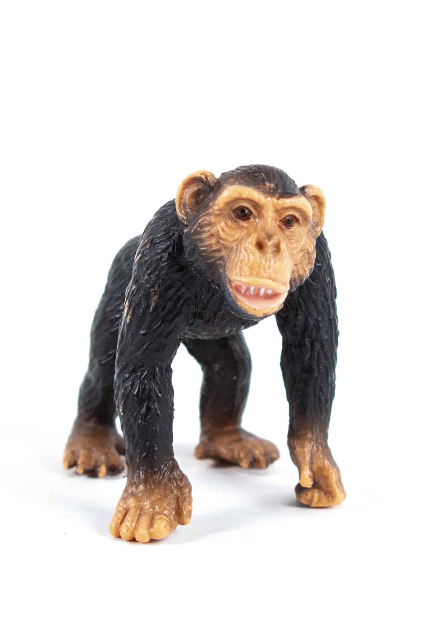 Schleich Simpanssi figuuri 14189 - Turun Ekotori